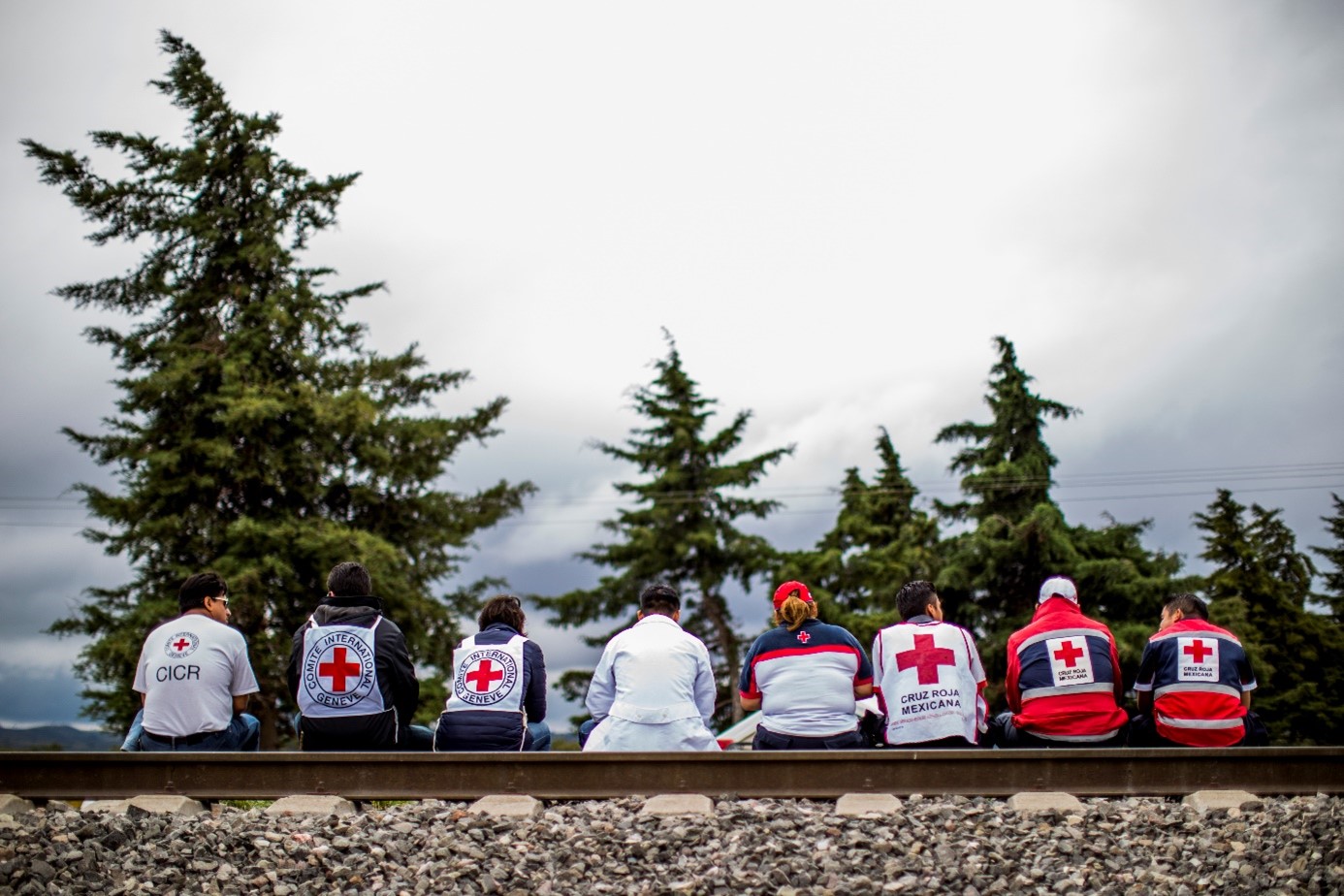 The first-ever Movement Migration Strategy – Statutory Meetings